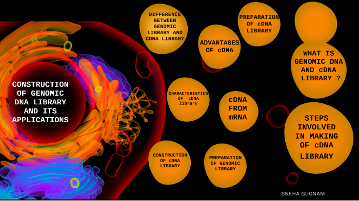 CONSTRUCTION OF GENOMIC DNA LIBRARY AND ITS APPLICATIONS by sneha ...