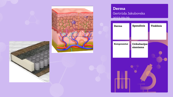 derma hipoderma by Gertrūda Jakubovska on Prezi
