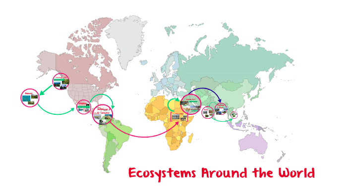 Ecosystems Around the World by Sara Ullmer on Prezi