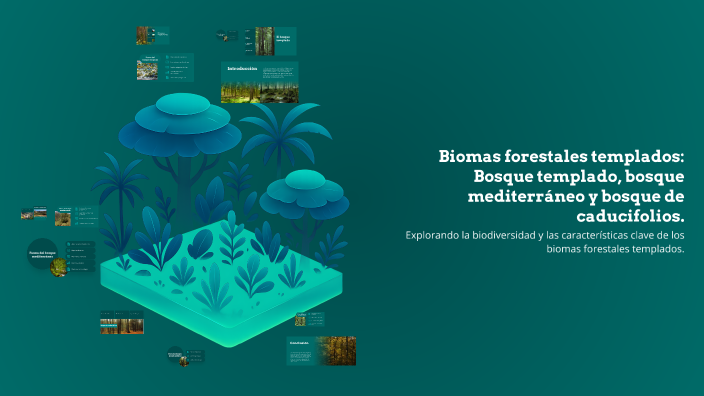 Biomas forestales templados: Bosque templado, bosque mediterráneo y ...