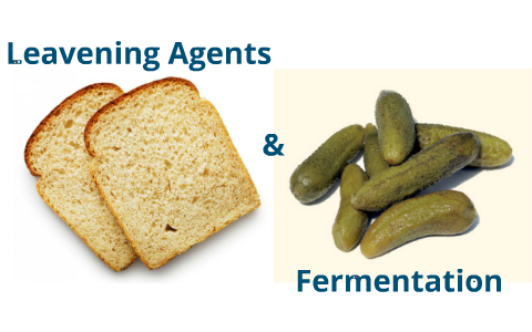 Food Science Unit 4-2 Leavening Agents and Fermentation by Kristin ...