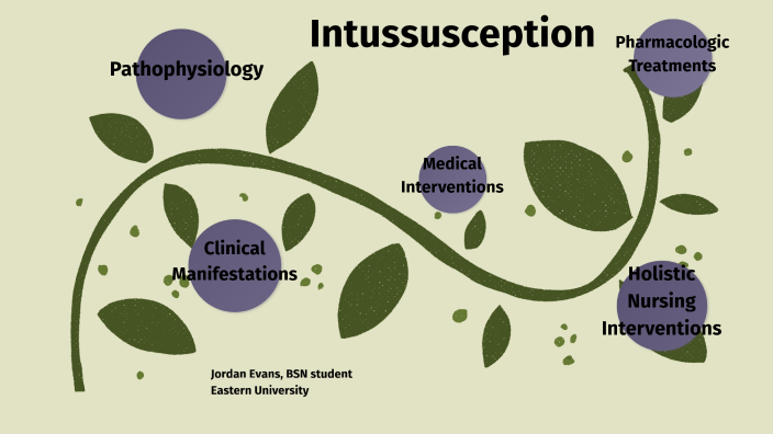Intussusception Concept Map by Jordan Evans on Prezi