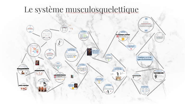 Le système musculosquelettique by Melissa Gagnon on Prezi