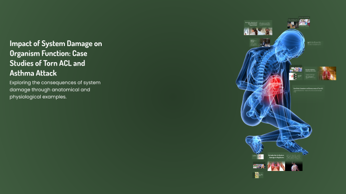 Impact of System Damage on Organism Function: Case Studies of Torn ACL ...