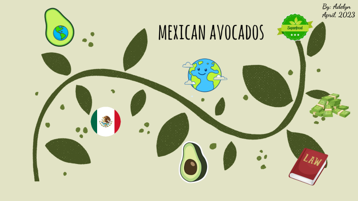 The history of Mexican Avocados by Adelyn Howell on Prezi