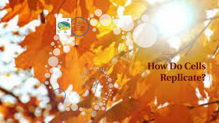 How do cells Replicate? by Jasmine Towler on Prezi