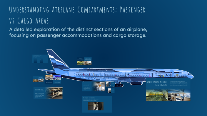 Understanding Airplane Compartments: Passenger vs Cargo Areas by Karla ...