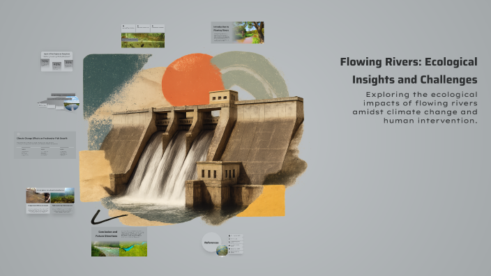 Flowing Rivers: Ecological Insights and Challenges by Uthman Bendaoud ...