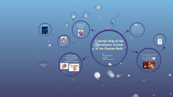 Concept Map of the Circulatory System of the Human Body by kadijah ...