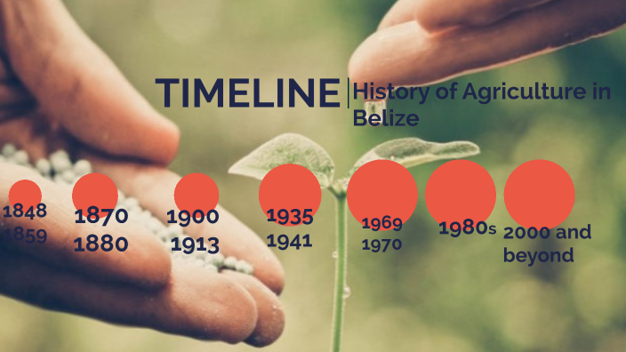 History of Agriculture in Belize by Shevon Martin on Prezi