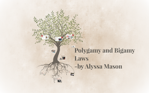 Polygamy and Bigamy Laws by alyssa mason
