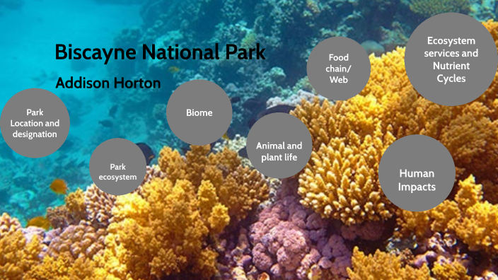 Biscayne National Park by Addison Horton on Prezi