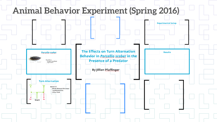 The Effects on Turn Alternation Behavior in Porcellio scaber by Jillian ...
