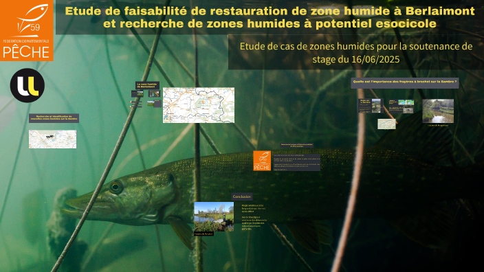 Présentation soutenance by Schalk Justin on Prezi