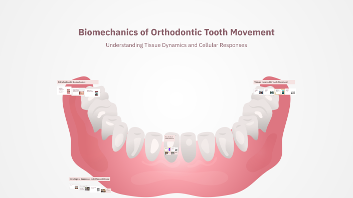 Biomechanics of Orthodontic Tooth Movement by Sara Galijašević on Prezi