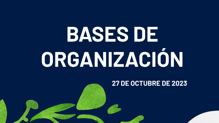 COMITE DE DISCIPLINA by Itzel Regalado on Prezi