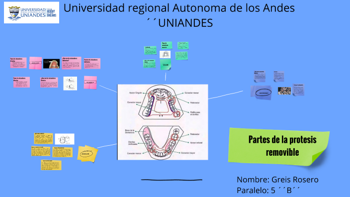 Partes de la PPR by Greis Rosero on Prezi