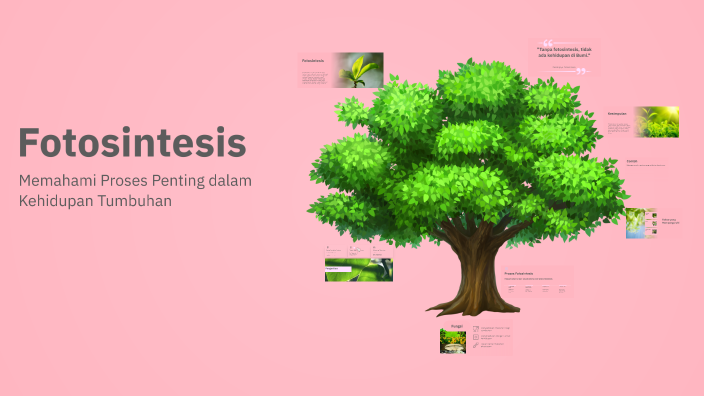 Fotosintesis by Queen Adeline Winata on Prezi
