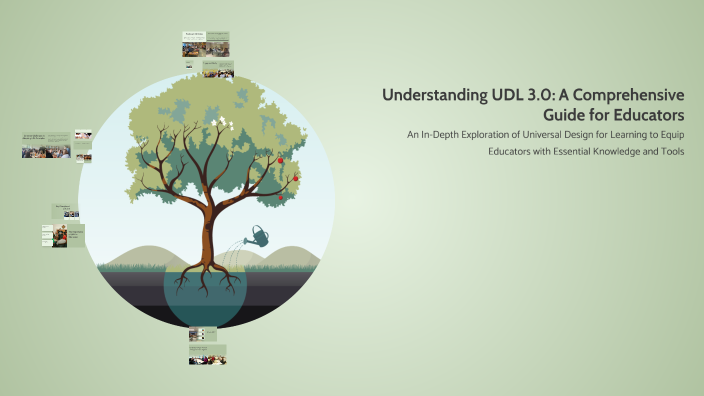Understanding UDL 3.0: A Comprehensive Guide for Educators by Brian ...