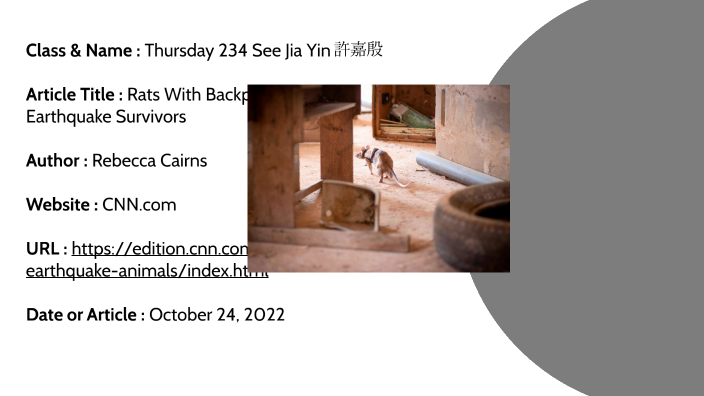 Rats With Backpacks Could Help Rescue Earthquake Survivors by see jia ...