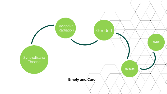 Synthetische Evolutionstheorie by caro Braunschädel on Prezi