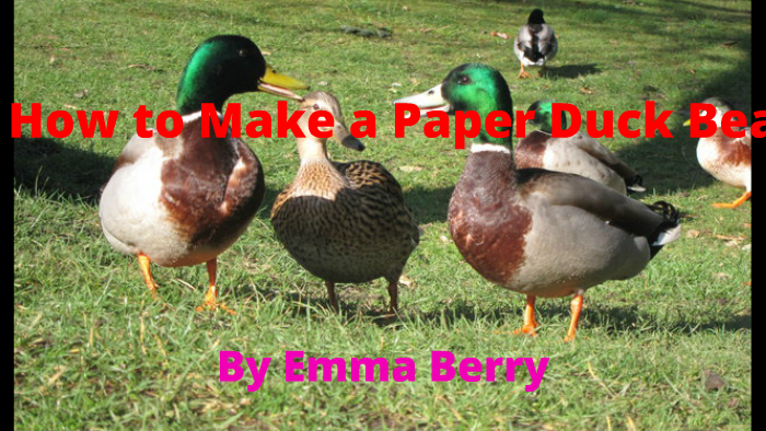 How to create a paper duck beak by Emma Berry on Prezi