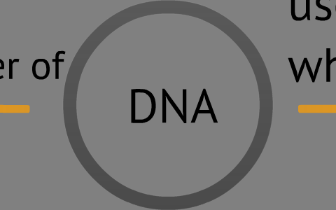 DNA and Central Dogma Concept Map by Ryan Nishimoto on Prezi