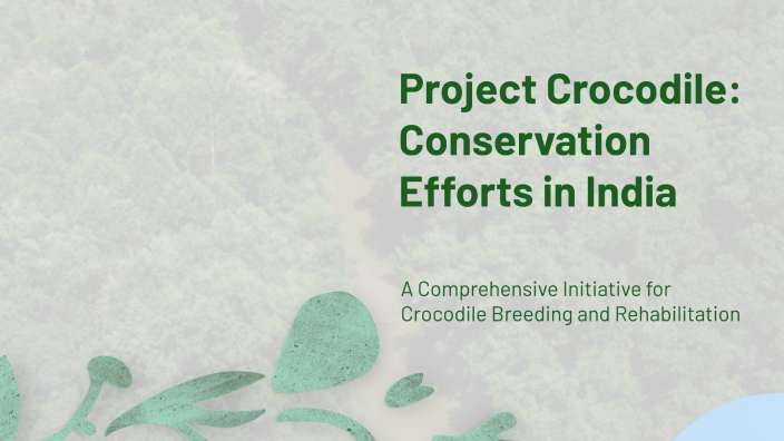 Project Crocodile: Conservation Efforts in India by raghav dua on Prezi