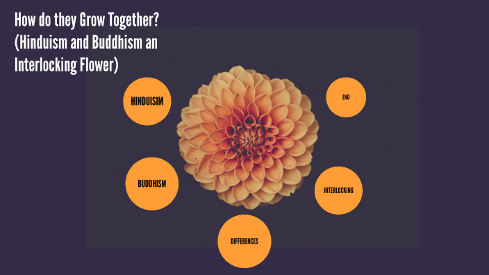 How do they Grow Together? (Hinduism and Buddhism an Interlocking ...