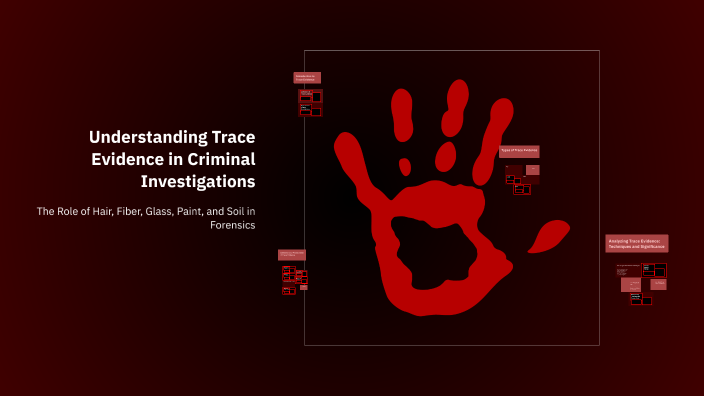 Understanding Trace Evidence in Criminal Investigations by Jamila K on ...