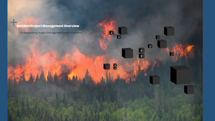 BurnBot Project Management Overview by Lex Nelson on Prezi