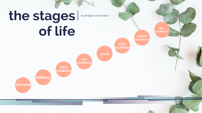 the stages of life by bridget corr on Prezi