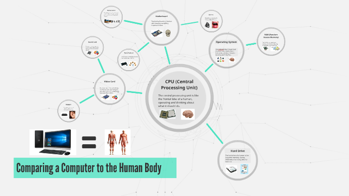 Comparing a Computer to the Human Body by William Tran on Prezi