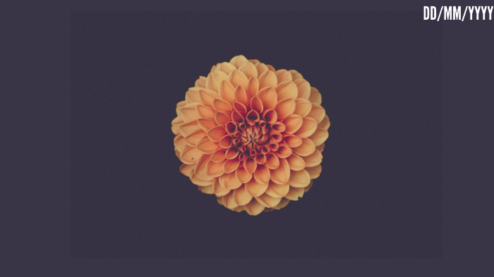 gastronomia by MICHELLE ESCANDON on Prezi