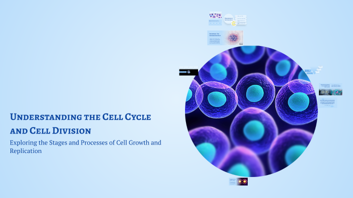 Understanding the Cell Cycle and Cell Division by Yogeshwar Balamurugan ...