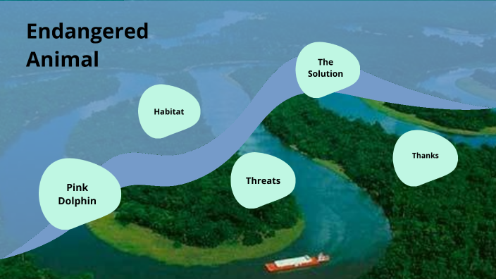 Endangered Animal by Gabriela Caballero on Prezi