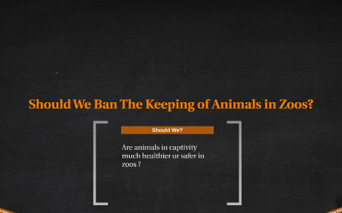 Should we ban the keeping of animals in zoos? by Casey Lack on Prezi
