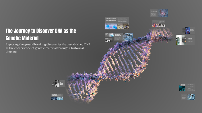The Journey to Discover DNA as the Genetic Material by Dr. B S Chithra ...