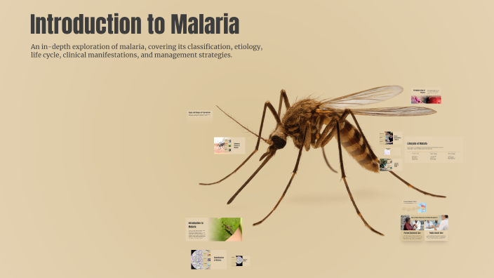 Introduction to Malaria by Shreya Patil on Prezi