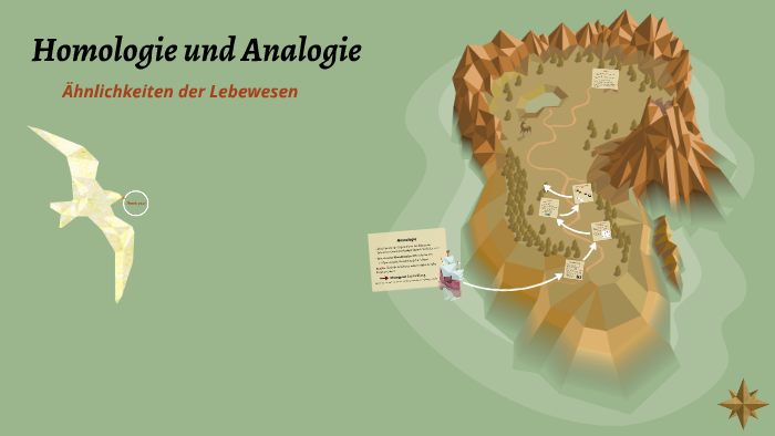 Homologie und Analogie by Jonas Bräutigam on Prezi