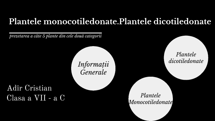 plantele monocotiledonate.plantele dicotiledonate by Adarnan 2007 on Prezi