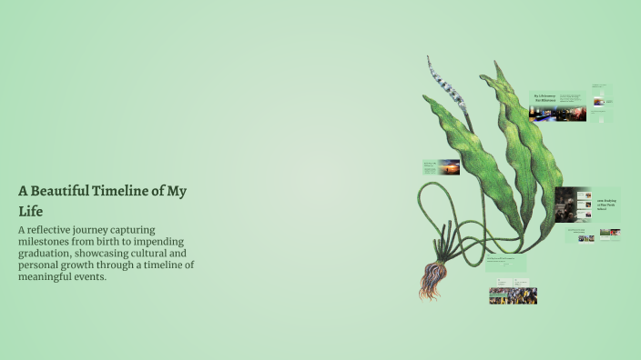 A Beautiful Timeline of My Life by Juliette Valentina Soto on Prezi