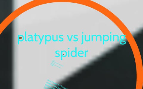 platypus by Hugo Fortin on Prezi