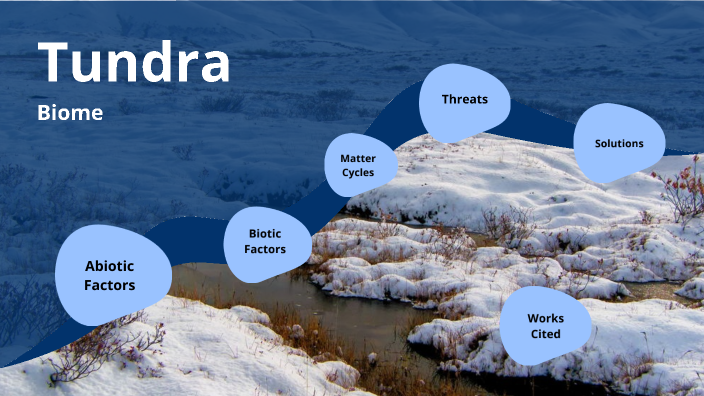 Tundra Biome Project by Elaine Hu on Prezi