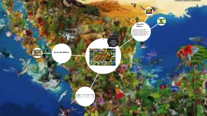 La Biodiversidad De Mexico by Guillermo Hernandez on Prezi