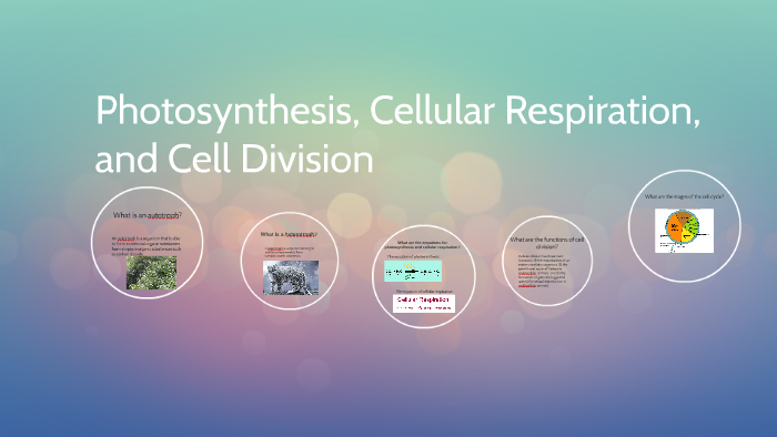 Photosynthesis, Cellular Respiration, and Cell Division by Victoria ...