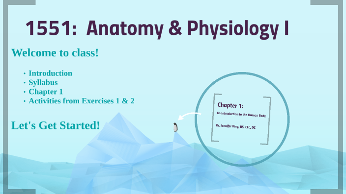 COD 1551 Anatomy & Physiology I by Jennifer Hash on Prezi