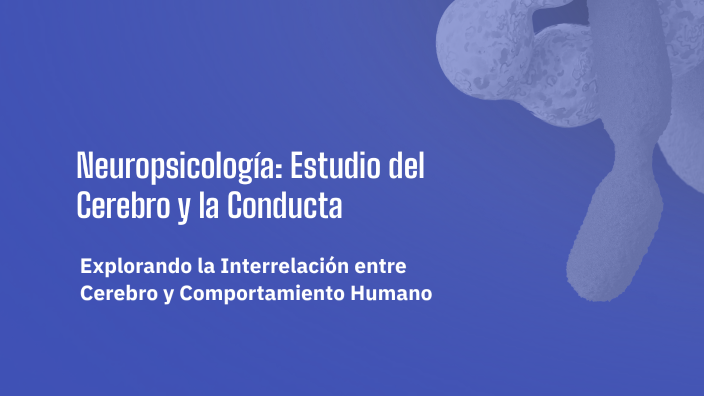 Neuropsicología: Estudio del Cerebro y la Conducta by Allen Rodríguez ...