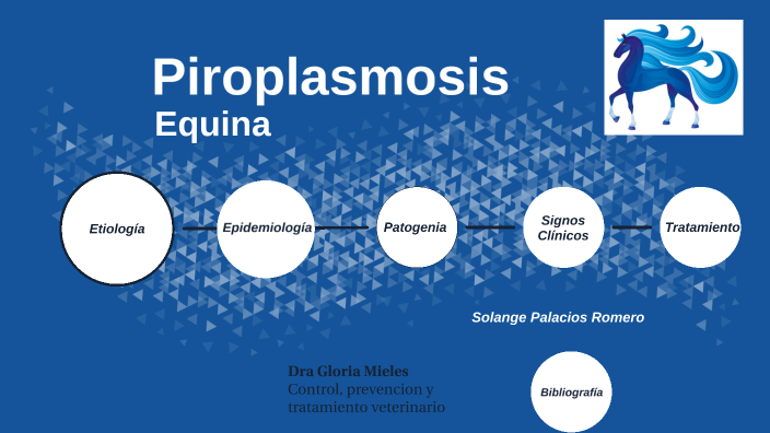 Piroplasmosis equina by Elizabeth Mendoza Muñoz on Prezi