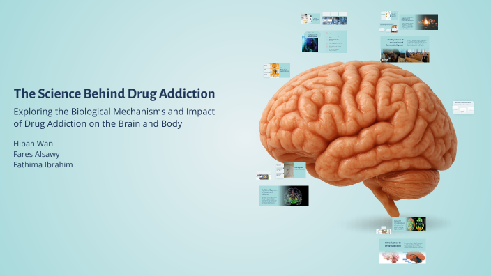Biology: The Science Behind Drug Addiction by Hibah Wani on Prezi